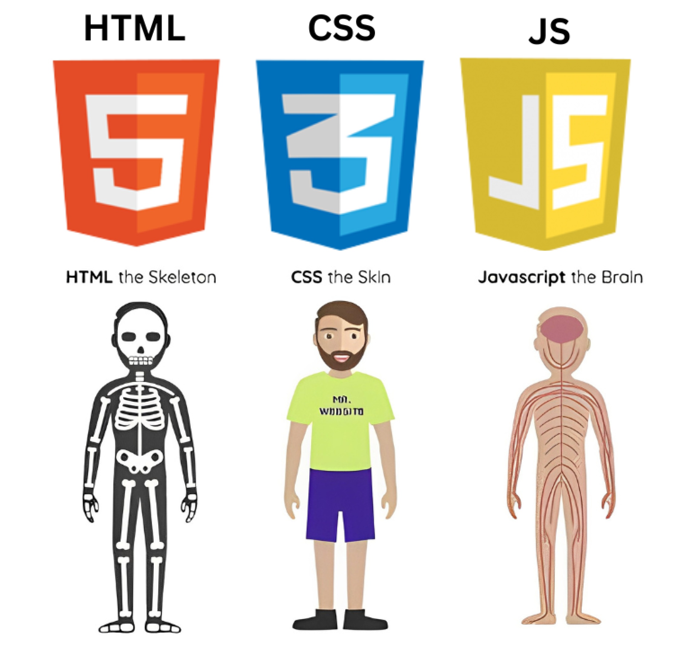 HTML & CSS cho người mới bắt đầu | CodeLearn